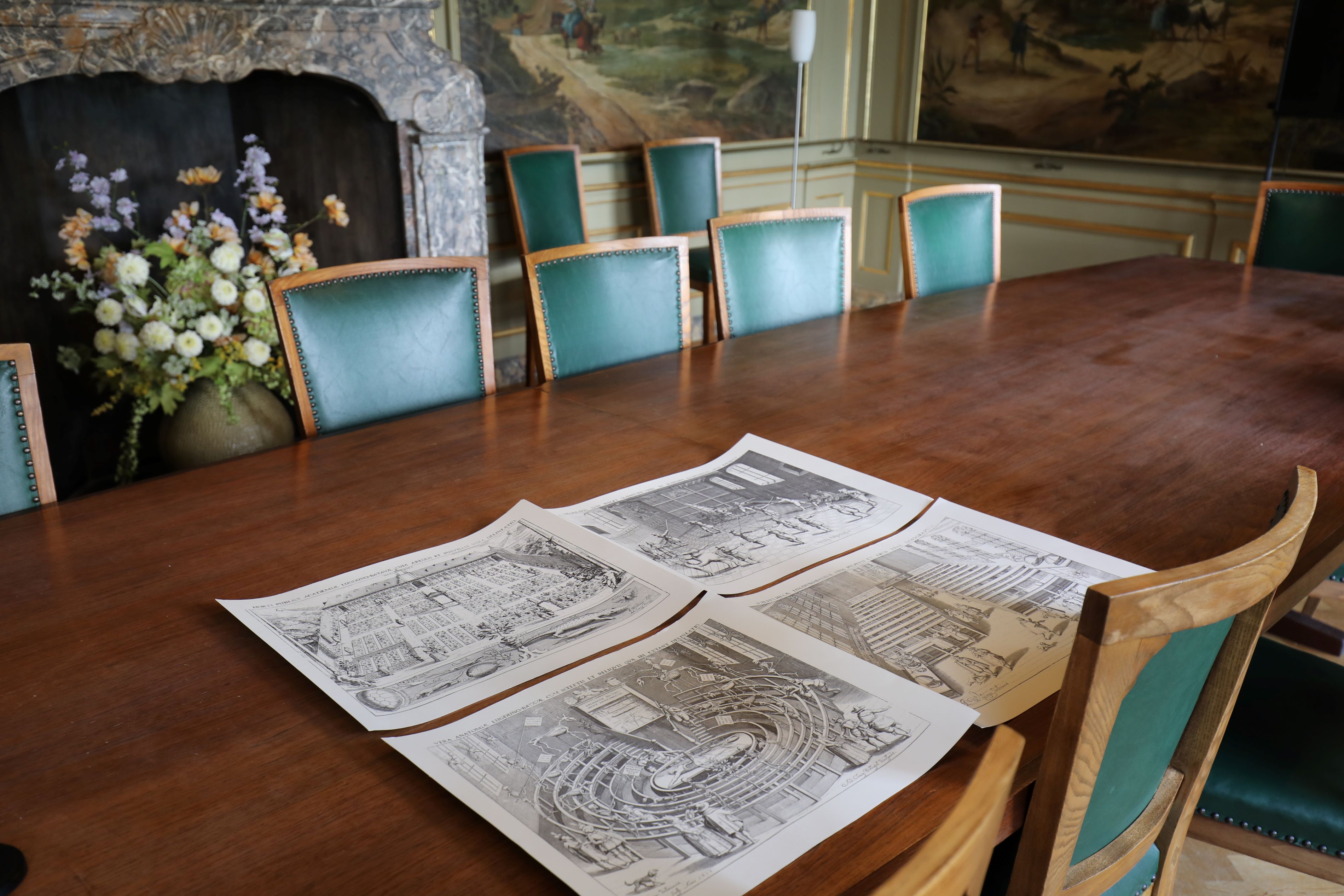 ‘Als ik in de Hortus ben, dan voelt het alsof ik door de prent wandel’ - Universiteit Leiden